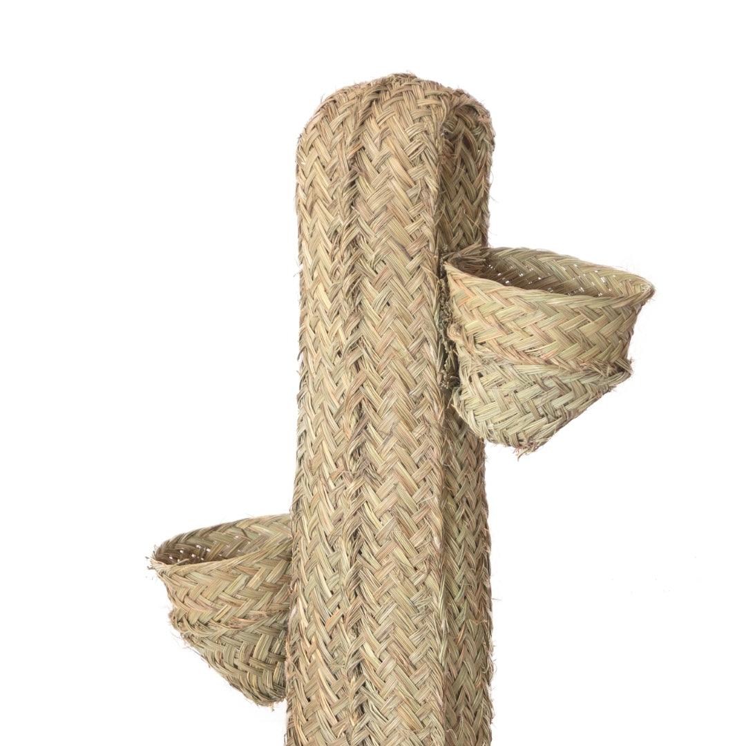 Cactus macetero Fez – Vimetea